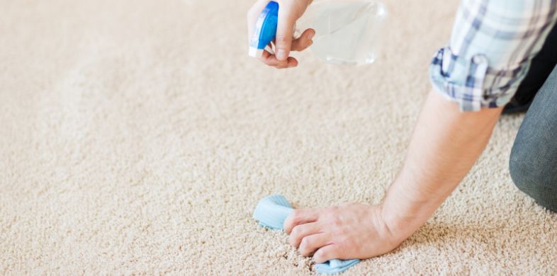 How to Remove Ink from Carpets? - Steamy Concepts